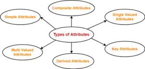 Types of Attributes | DBMS | Gate Vidyalay