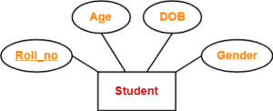 Types of Attributes | DBMS | Gate Vidyalay
