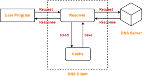 DNS in Networking | DNS Resolution | Gate Vidyalay